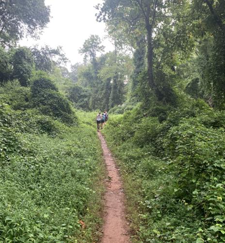 Guided walk of Biscuit Run Park set for July 10