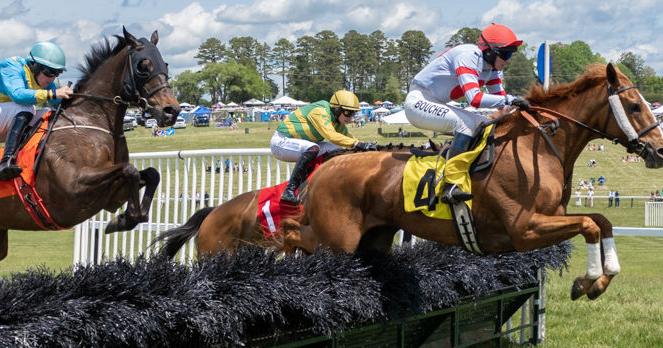 Foxfield hosts record number of horses, races, purse totals