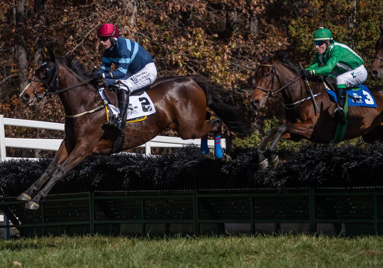 Lafayette connection adds fun to Montpelier Hunt Races