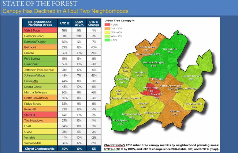 City tree canopy loss is accelerating, according to report