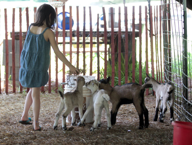 Caromont Farm in Esmont | Local News | dailyprogress.com