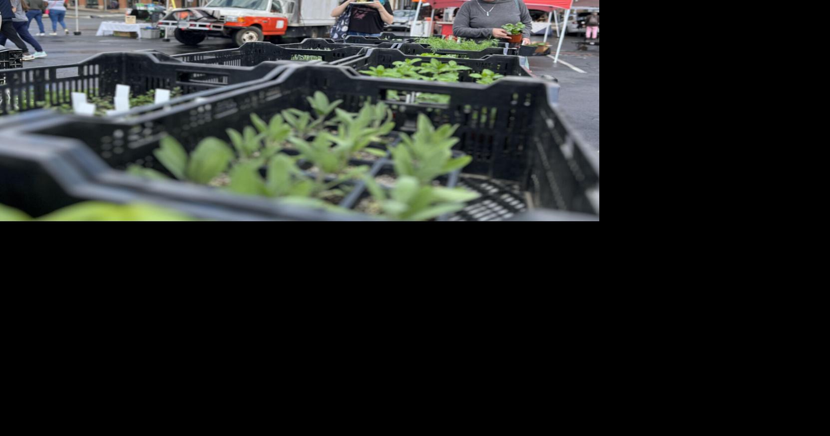 Upcoming nonprofit events in Charlottesville, Waynesboro