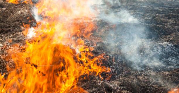 Letter | It's time Albemarle County ban open burning