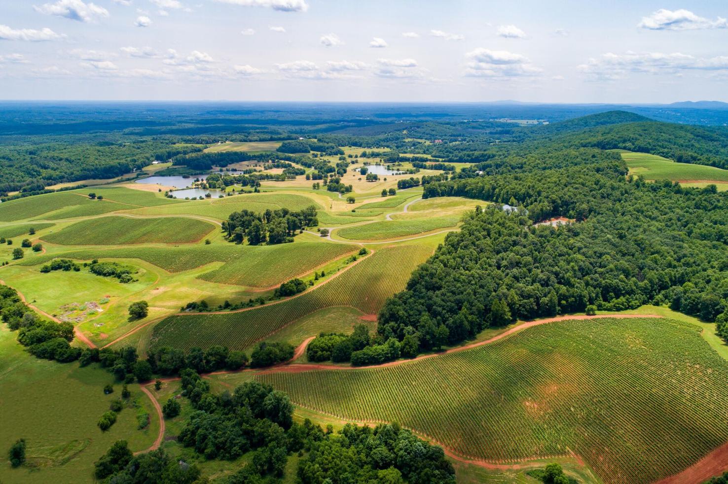 Trump Winery to expand into the cider business