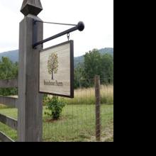 Bundoran Farm development put up for auction