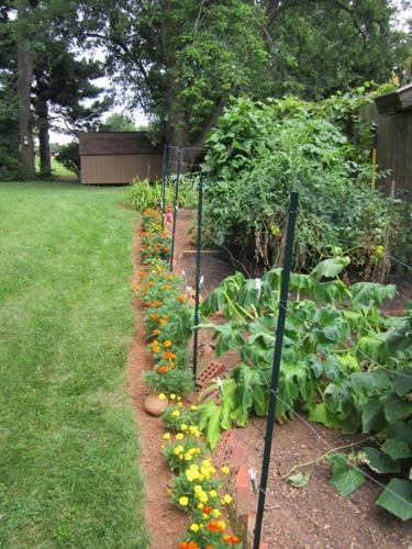 Outdoors: Tips for keeping varmints out of your garden