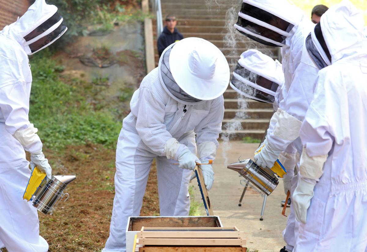 At MHS, they’re busy as bees