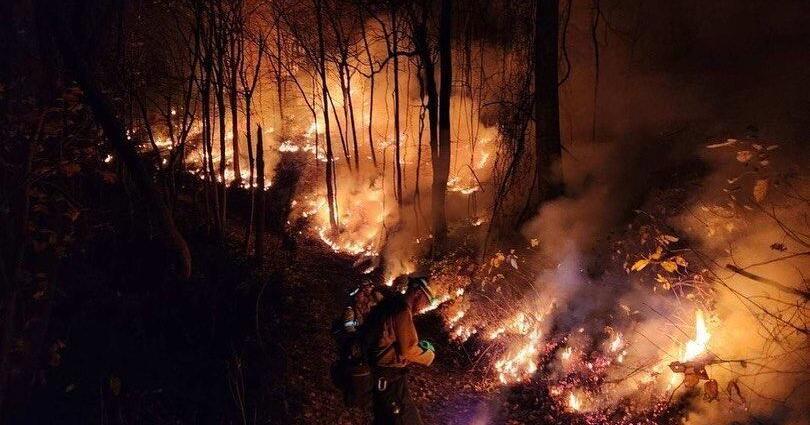 The Quaker Run Fire: From a wildland firefighter's point of view