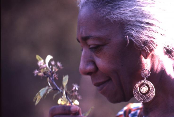 In Season: The Edna Lewis Story