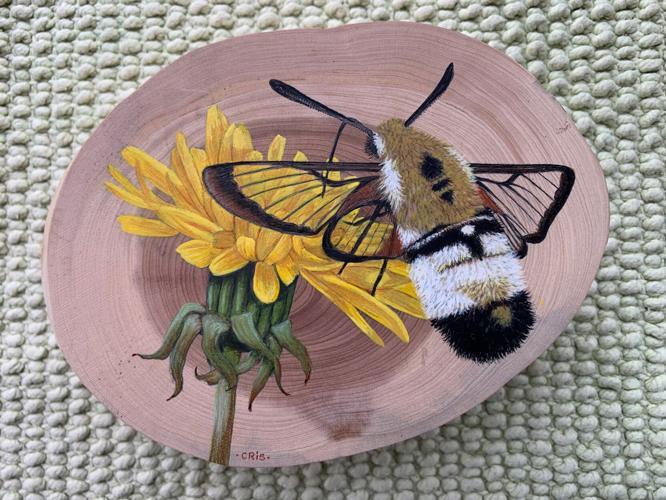 Buckingham artist's wildlife paintings support Nature Conservancy