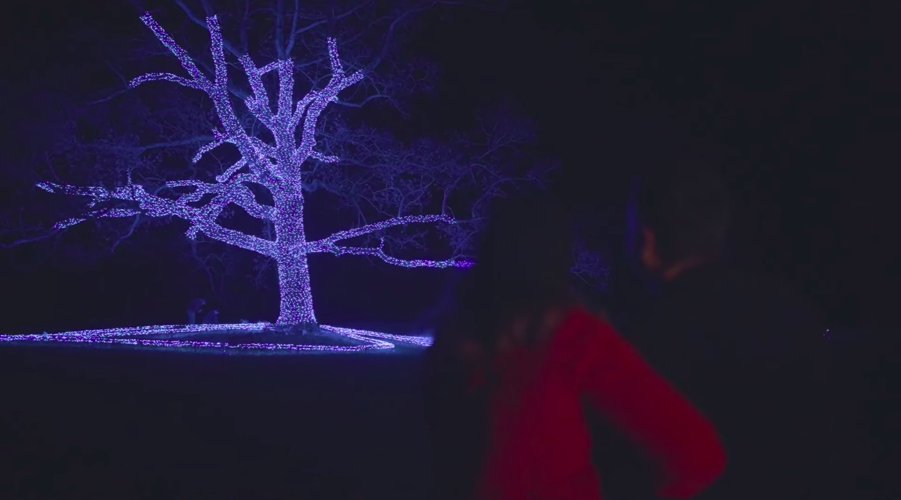 Winter Wander at Boar's Head returns with more lights and new ice rink