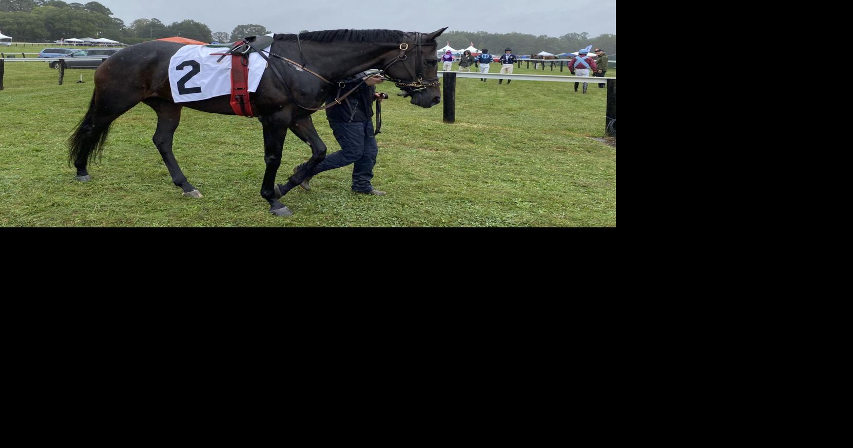 Foxfield races went on, even in the rain