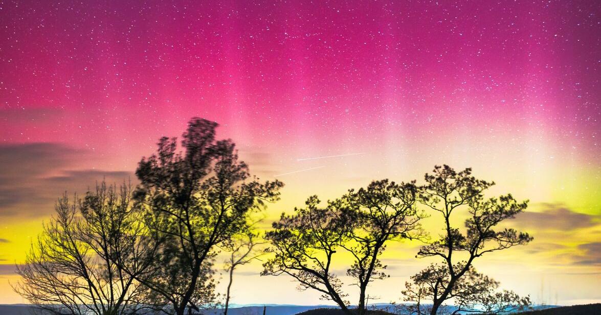 PEC announces annual photo contest winners