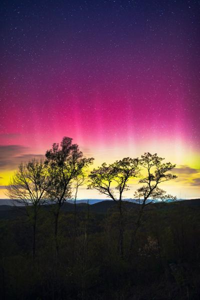 PEC announces annual photo contest winners