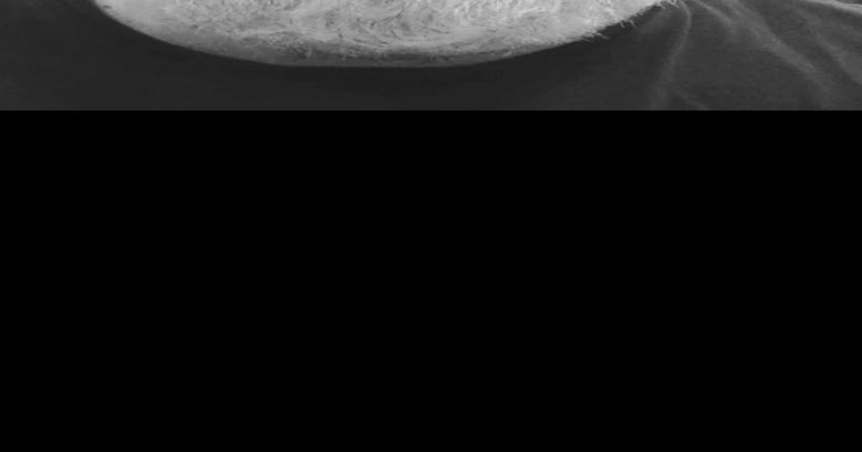 Haluska, James Anthony