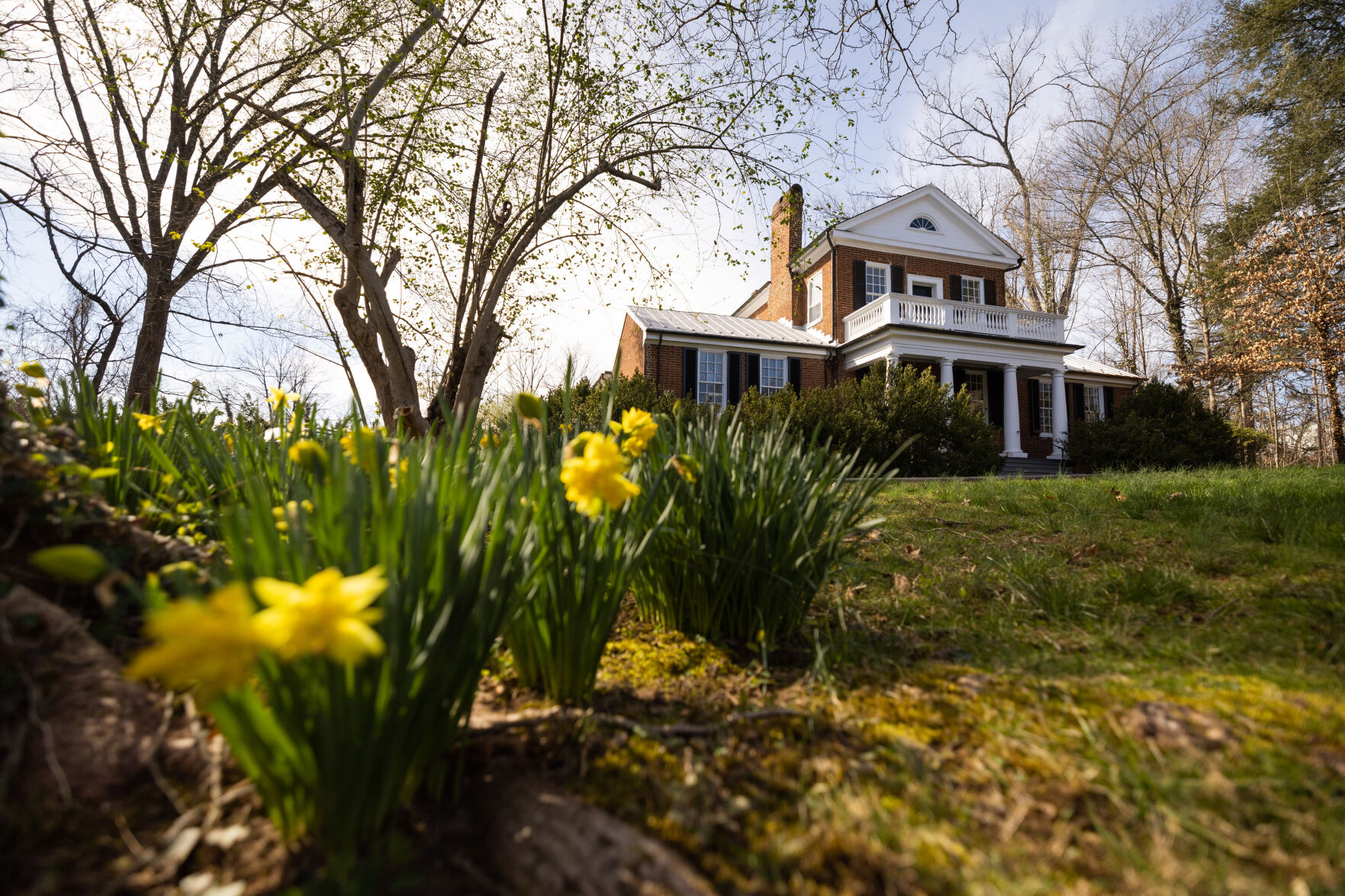 UVa considers handing historic Oak Lawn estate over to Charlottesville ...