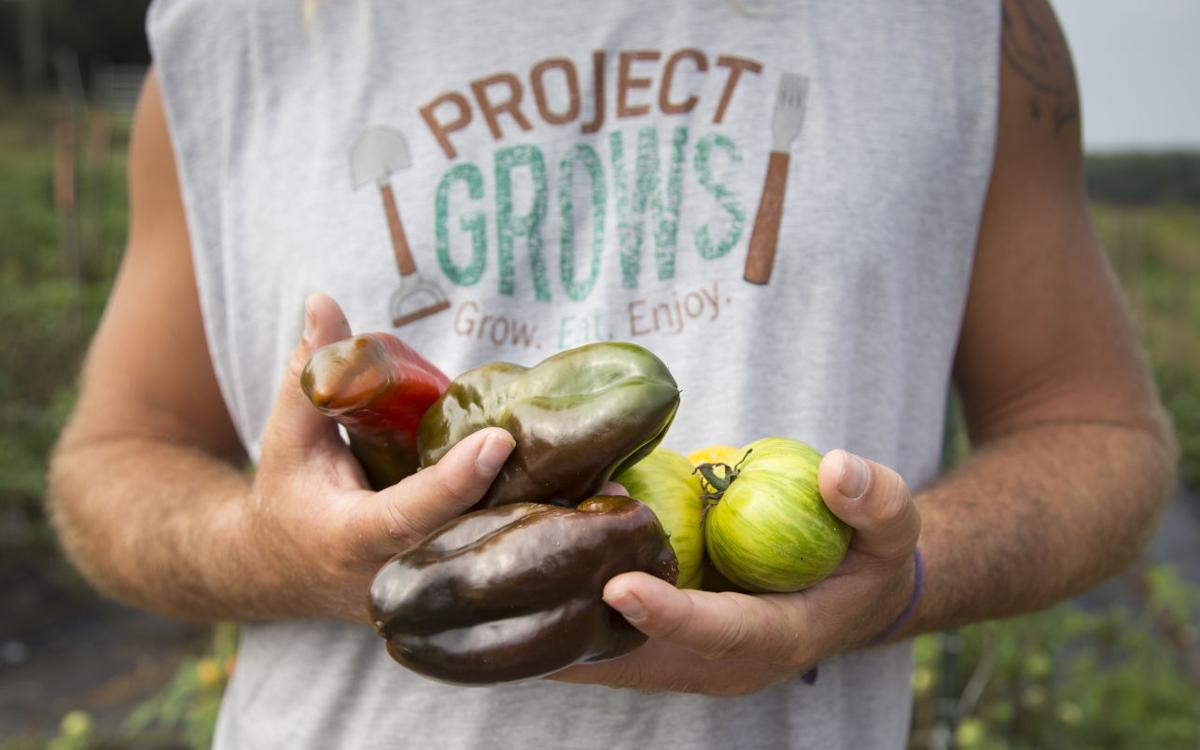 Building a dream: Project Grows founder pursues his own farm