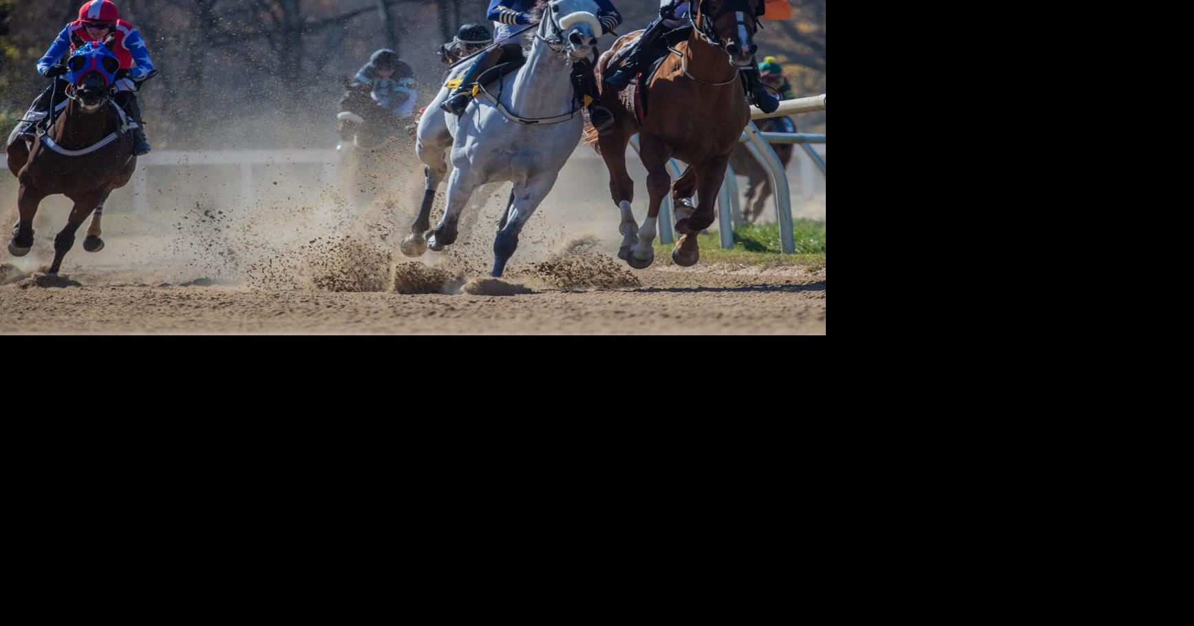 Galligan guides 3 horses to victory at 89th Montpelier Hunt Races