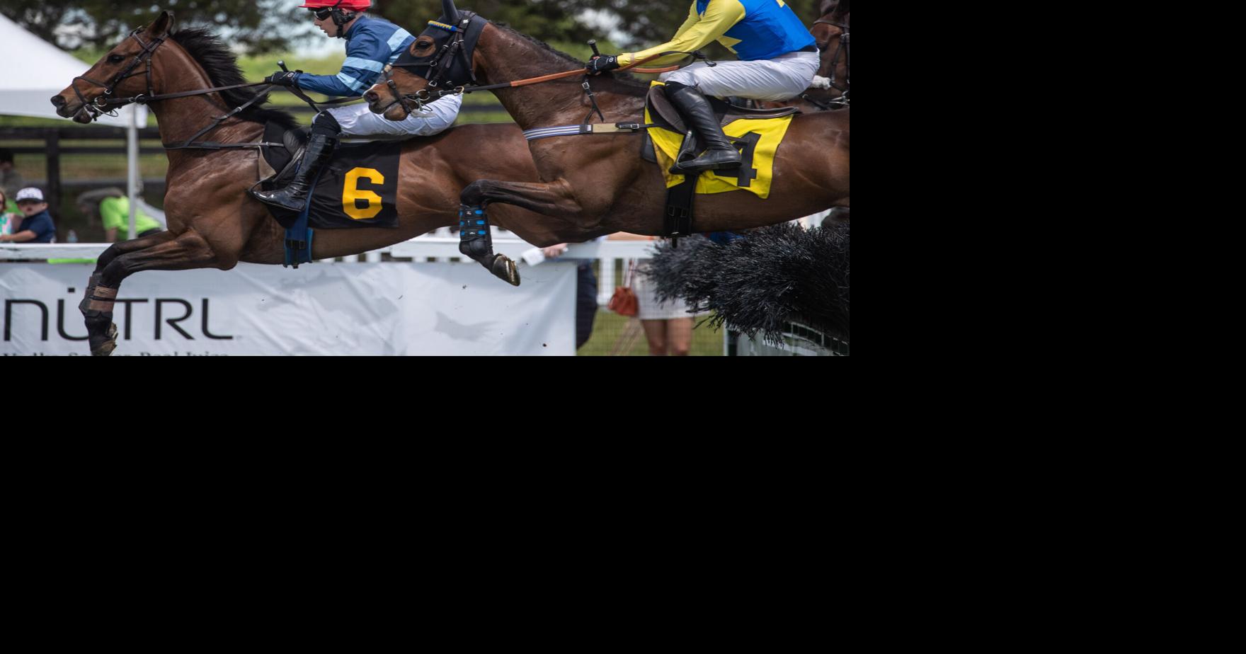 Foxfield Races continuing 'wonderful momentum' in 2025