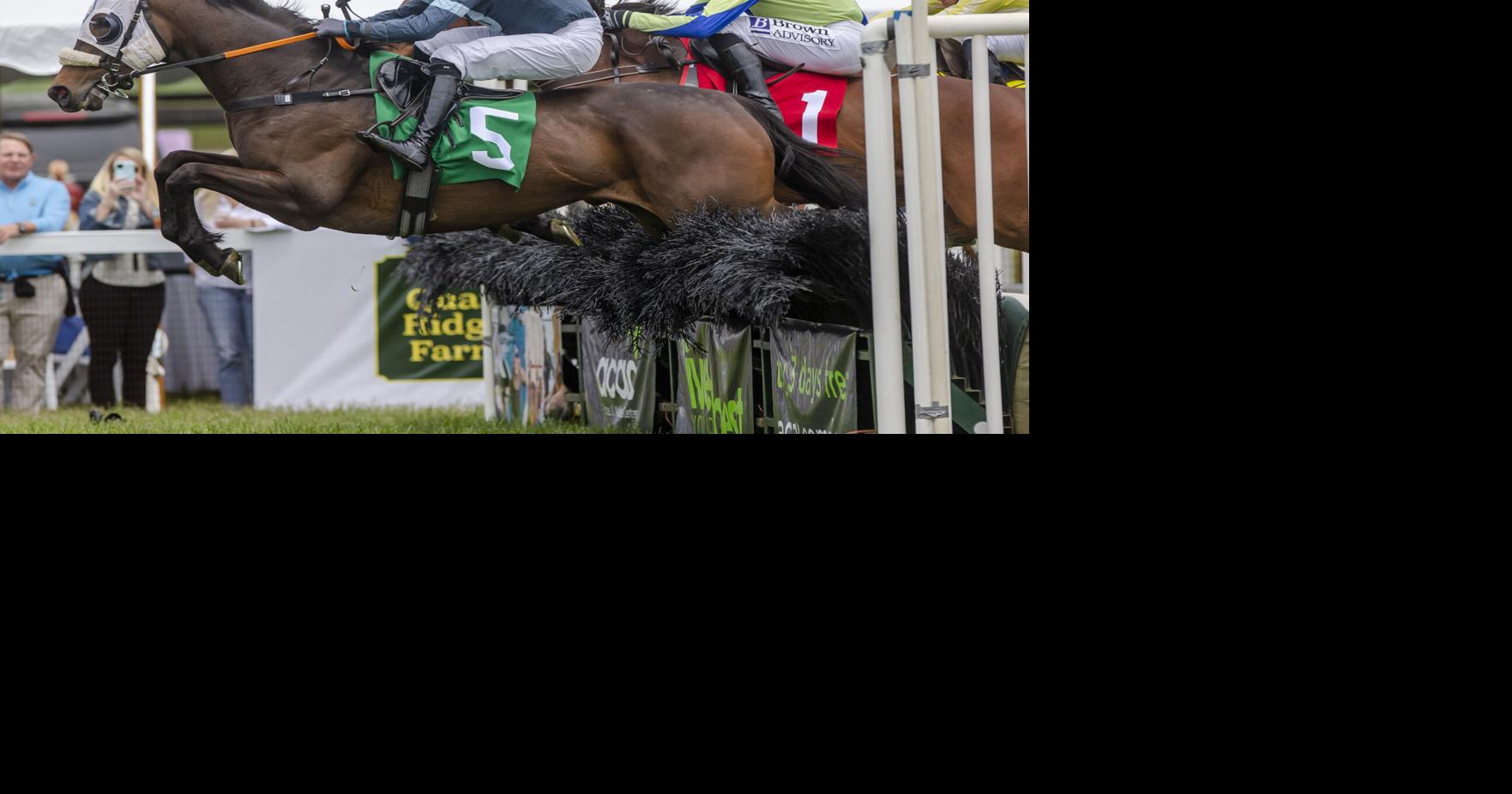 PHOTOS: Foxfield Races are back
