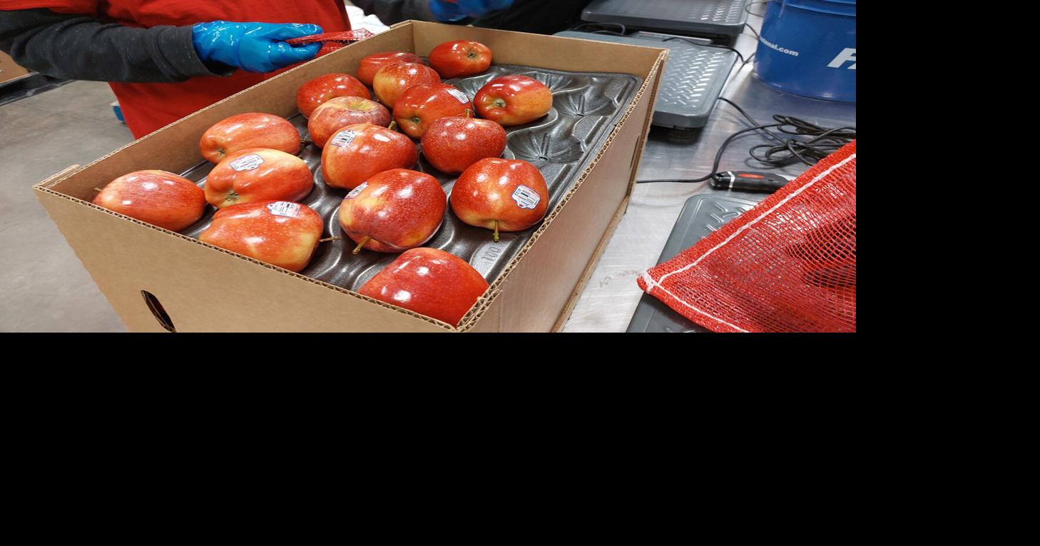 Foxfield commits $150K to Blue Ridge Area Food Bank for holiday help