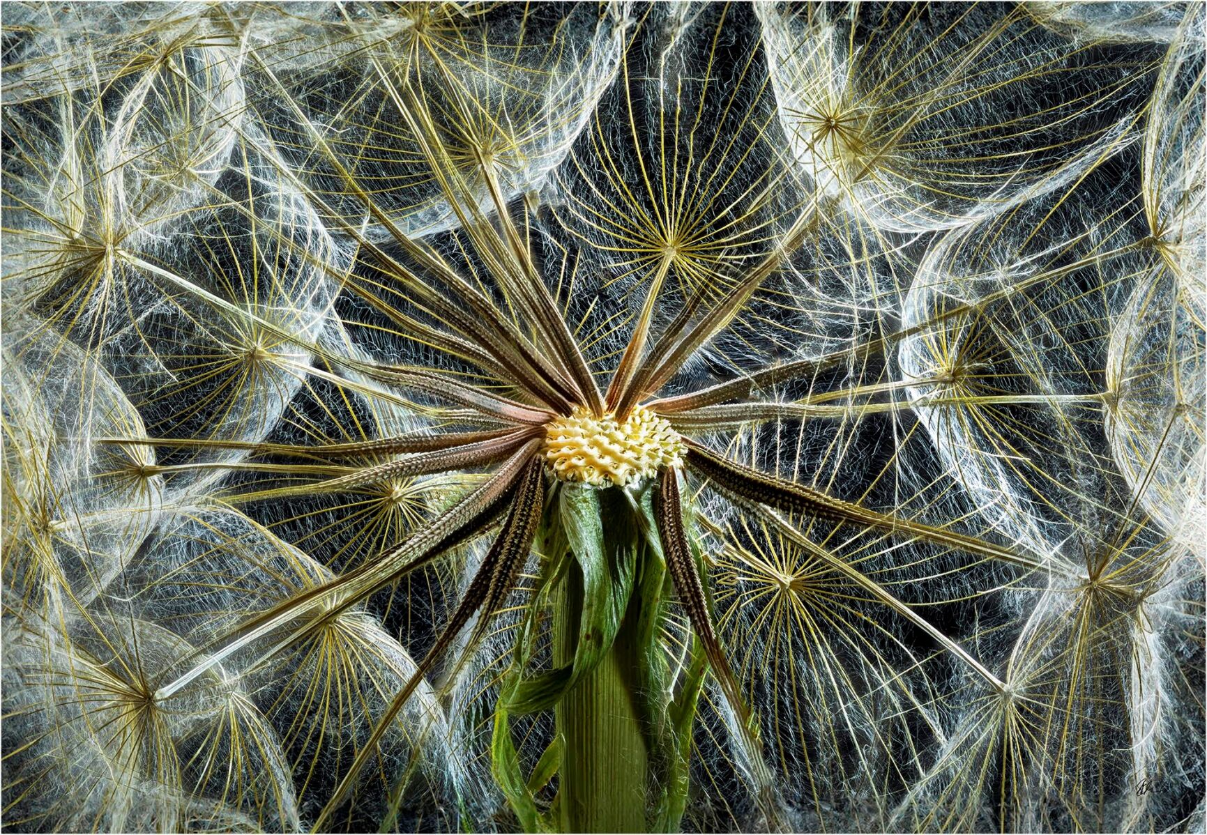 Art exhibits and events In Charlottesville and Waynesboro