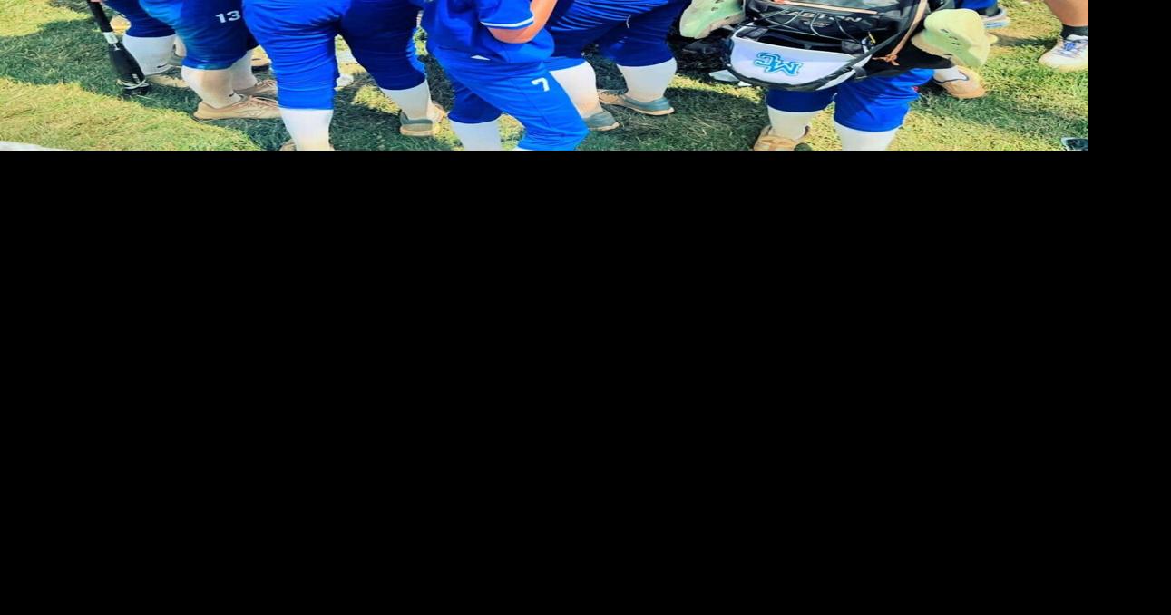 Madison Little League Softball All-Stars head to state tournament