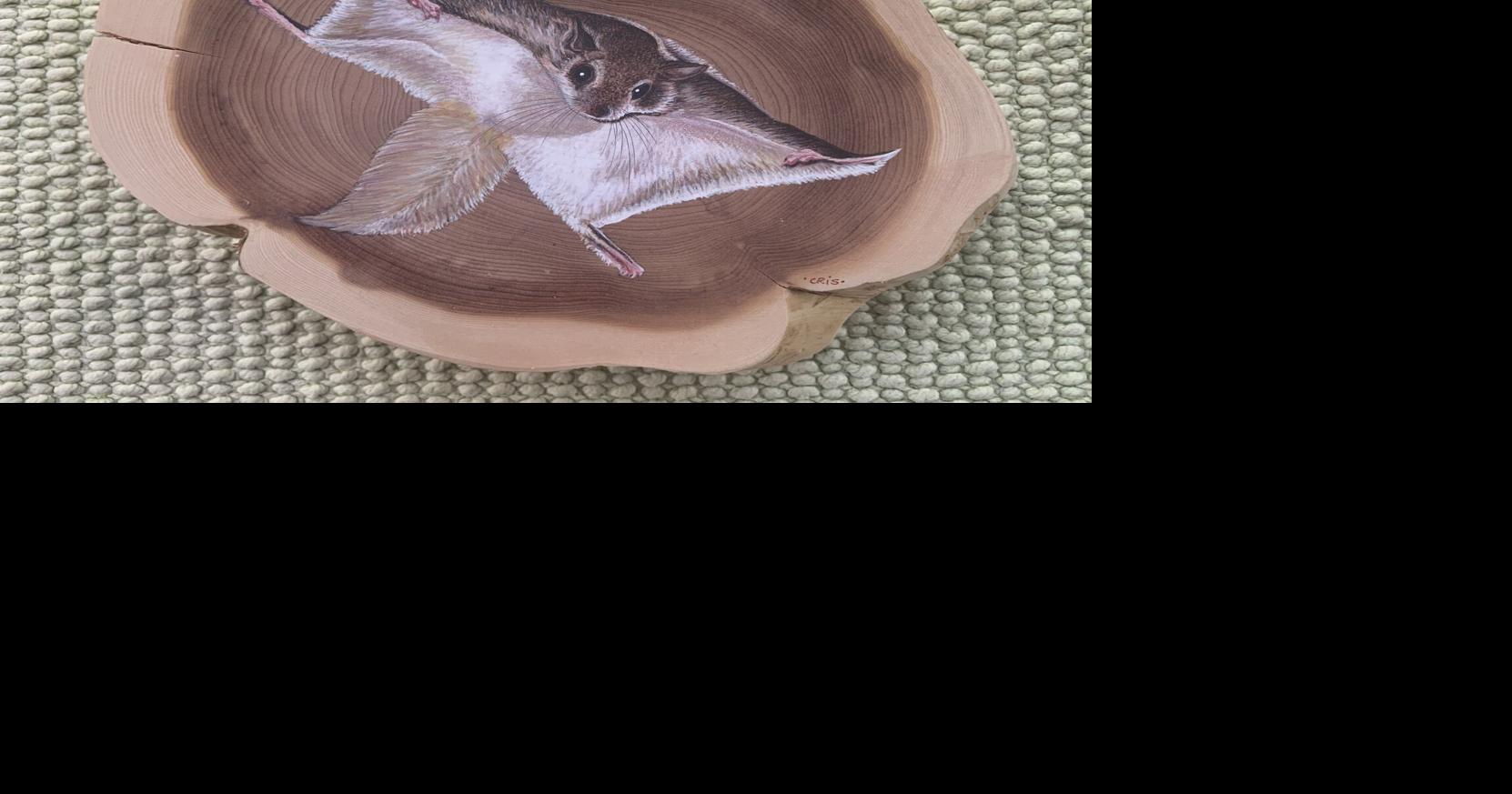 Buckingham artist's wildlife paintings support Nature Conservancy