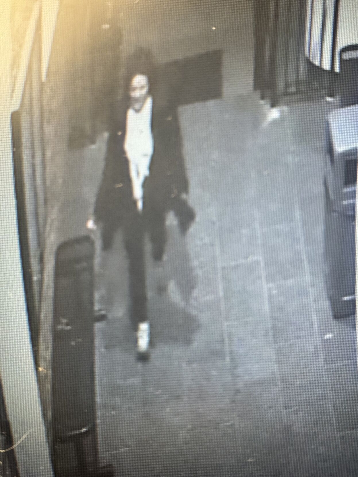 Woman caught on camera vandalizing Charlottesville courthouse