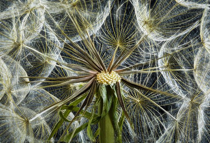 Silverstein's photographic talent develops into enriching views of nature