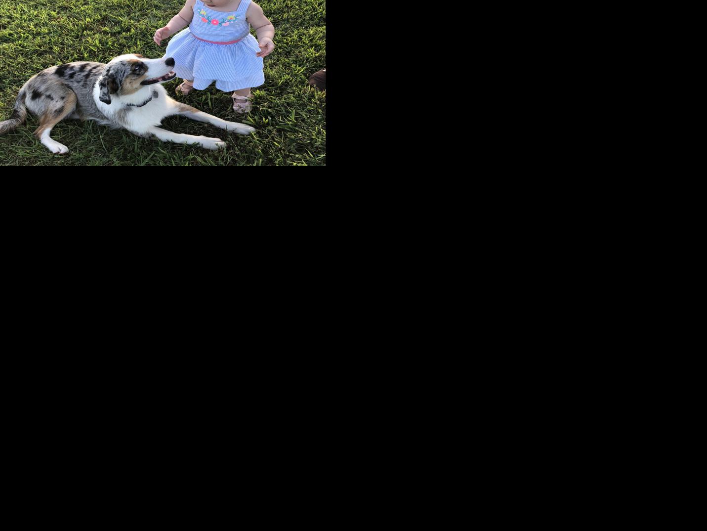 Mike Feazel: When visiting the Virginia wine country, go where the ...