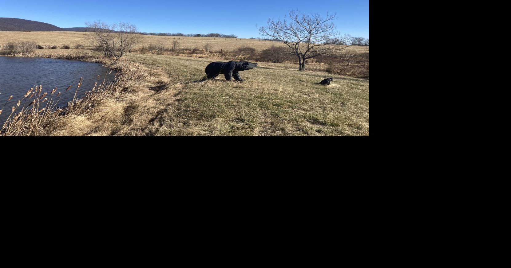 Bear cub statue in Greenwood missing