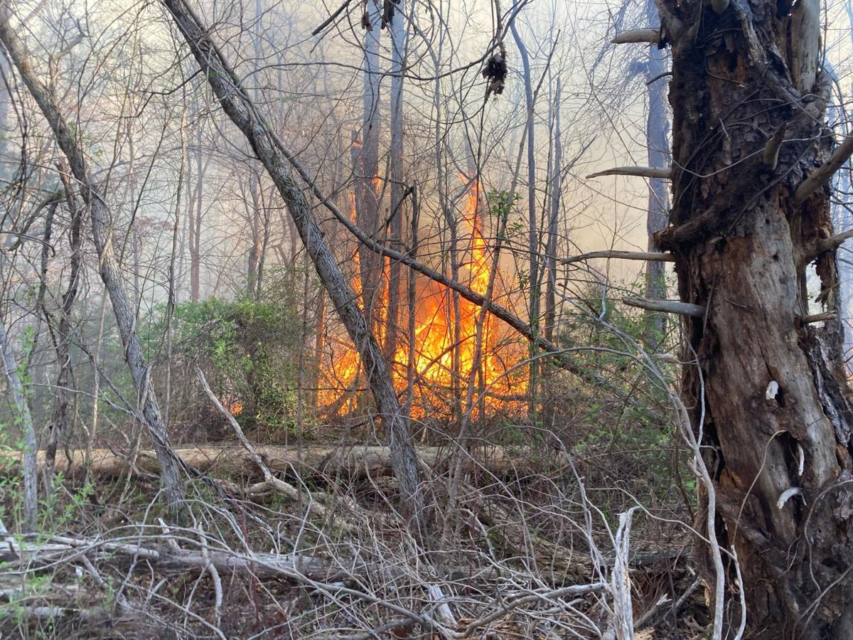 Central Virginia wildfires contained, as Shenandoah fires rage on