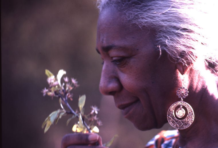 New children's book honors 'Queen of Southern Cooking' Edna Lewis