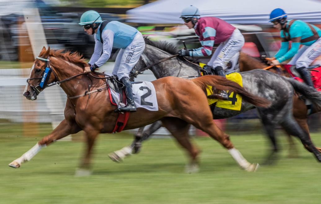 Foxfield hosts record number of horses, races, purse totals