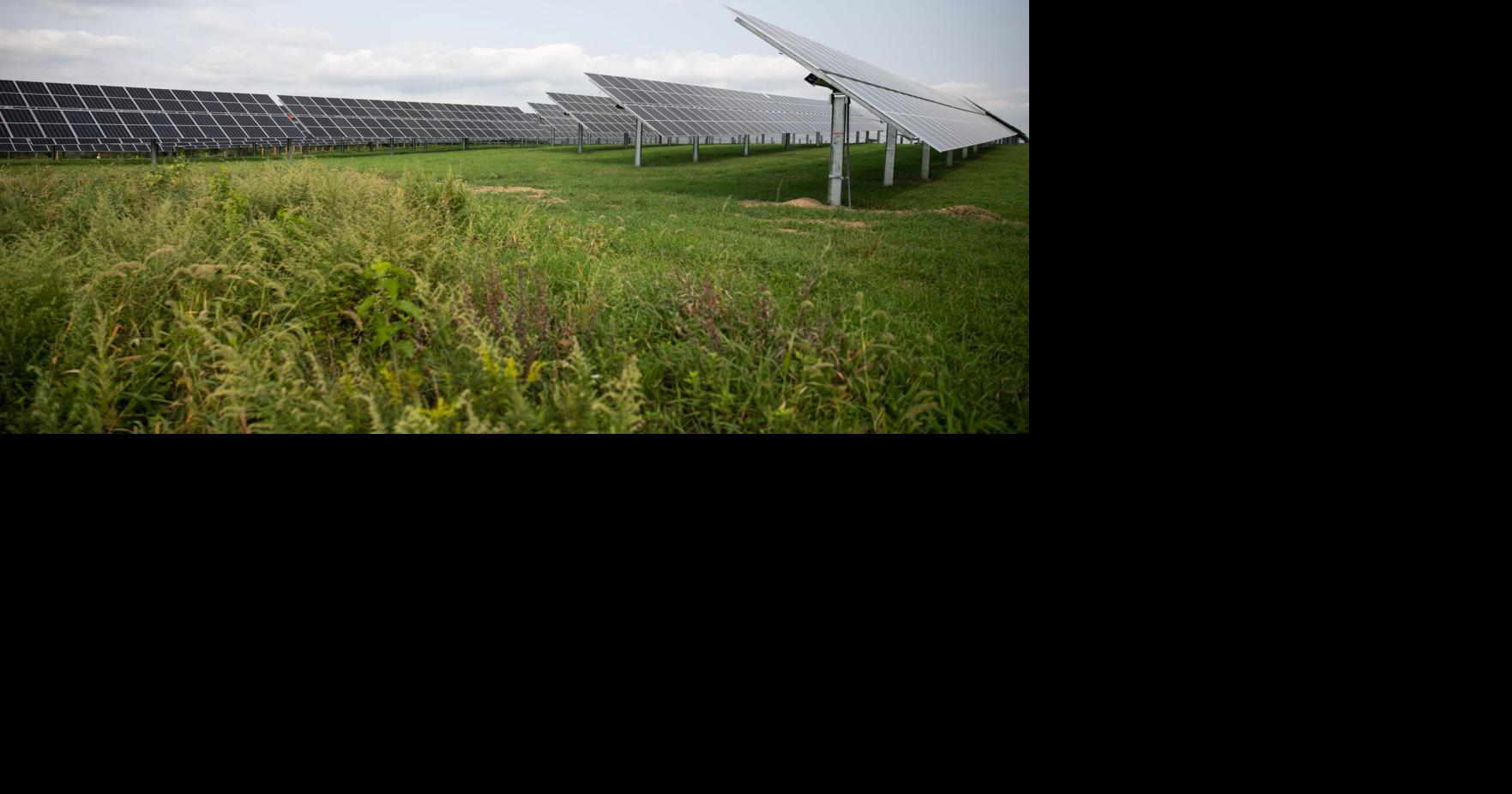 Charlottesville-based Sun Tribe solar company names new CEO