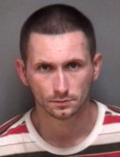 Suspected car thief arrested