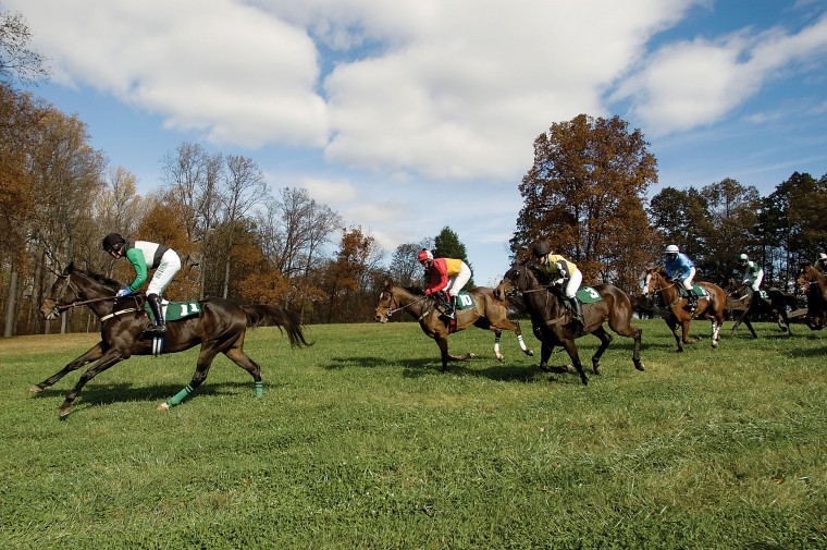 Montpelier Hunt Races