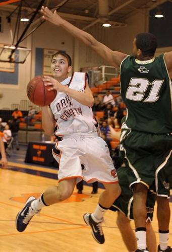 Hornets defeat Lions