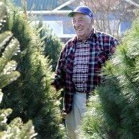 Seven decades of selling Christmas trees