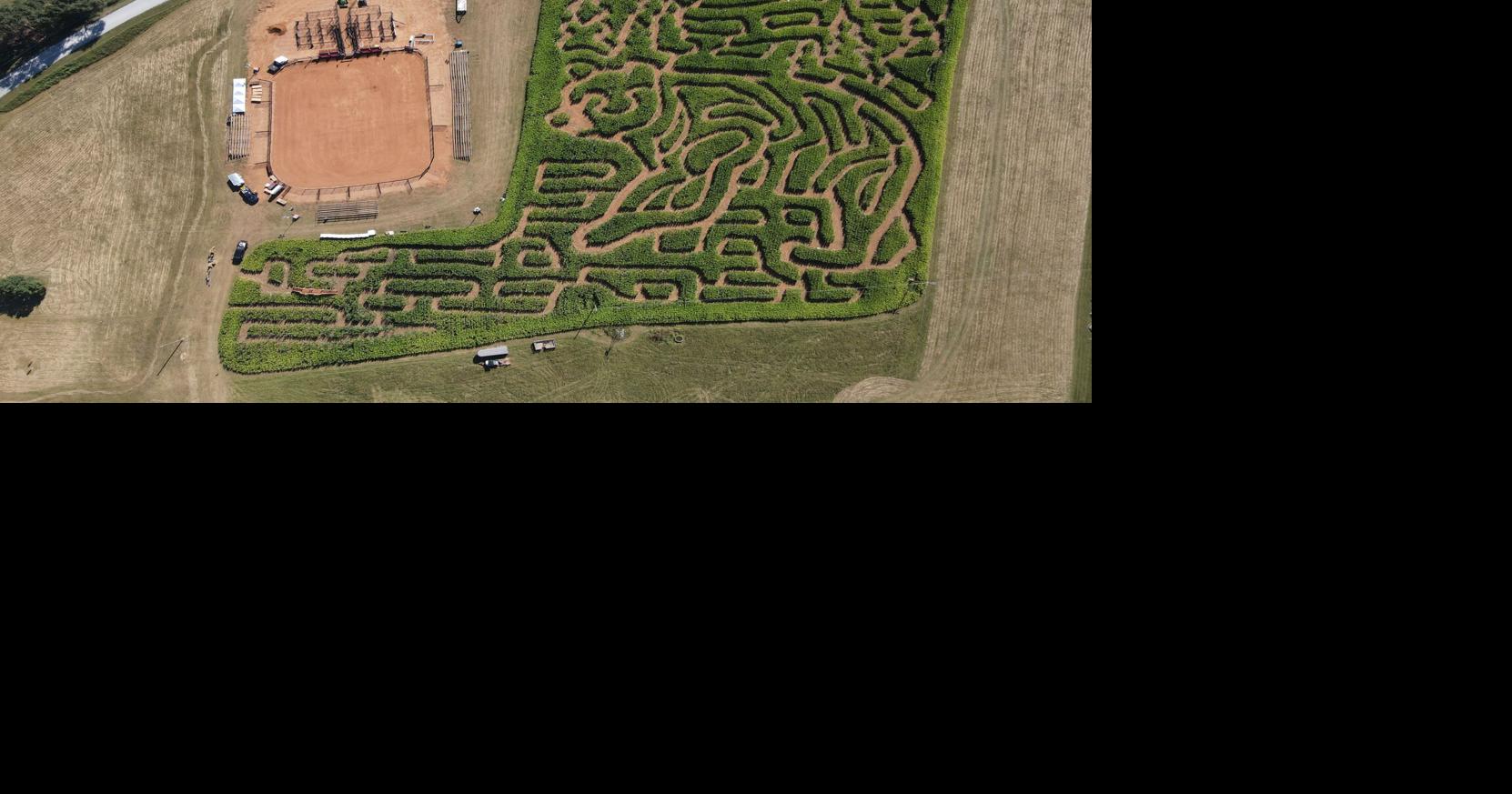 Blue Toad corn maze offers a chance to get lost in fall fun