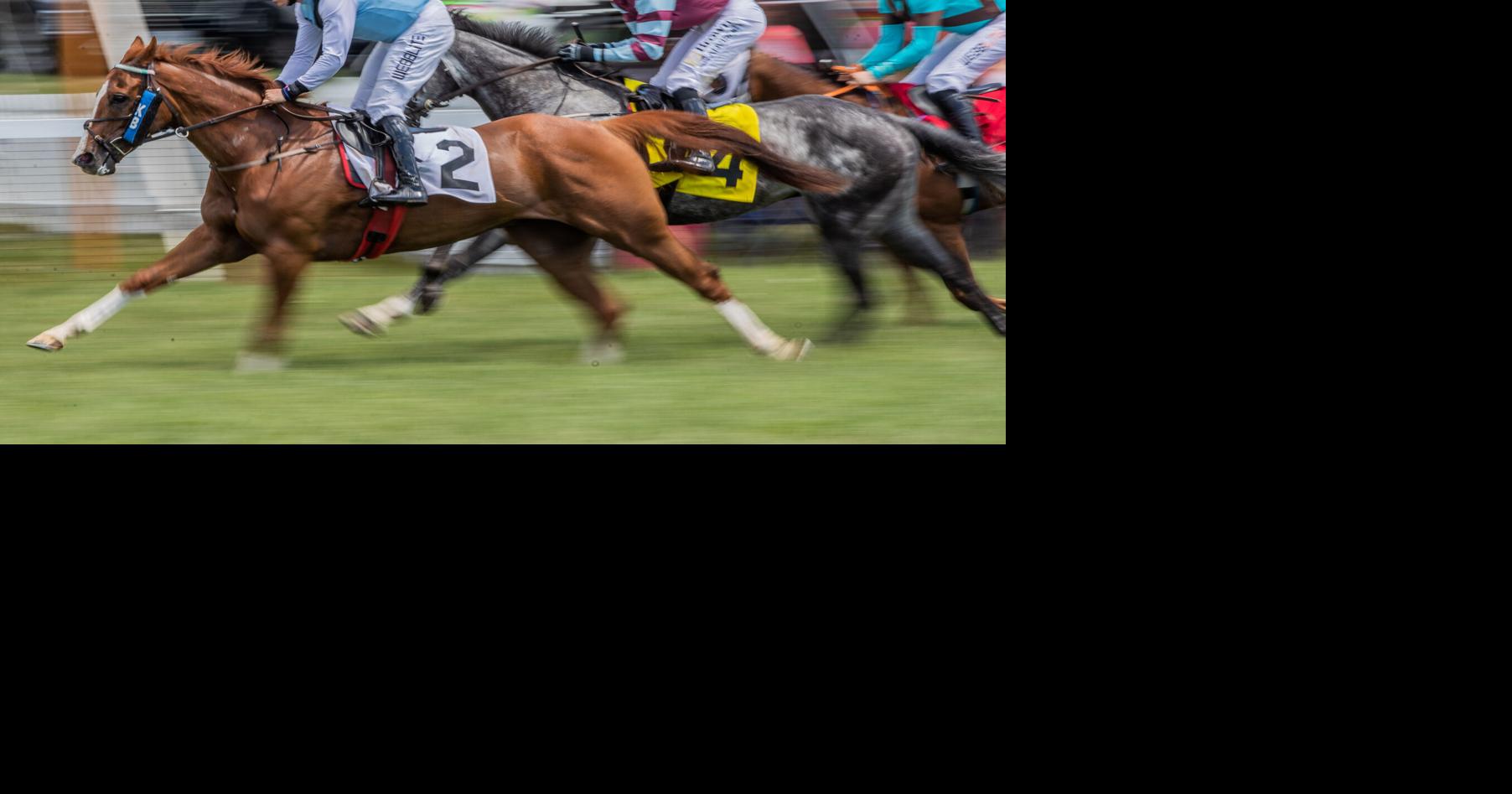 Foxfield introduces new stakes at Spring Races debuting this Saturday