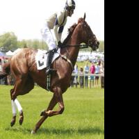 Slideshow-2013 Foxfield Spring Races