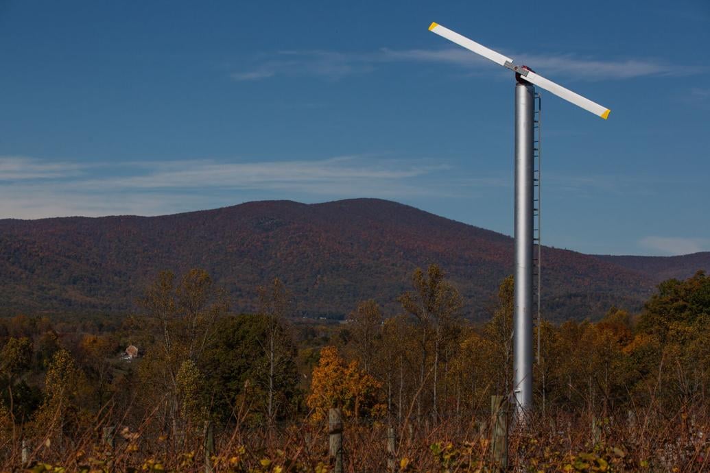 Fallen Tree Vineyard & Farm opens in Crozet