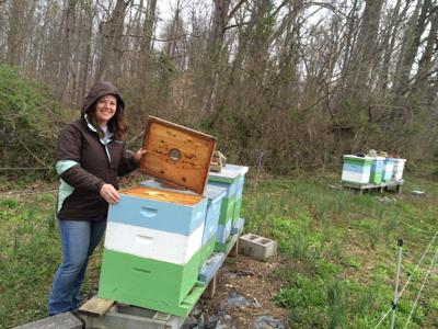 The buzz on beekeeping