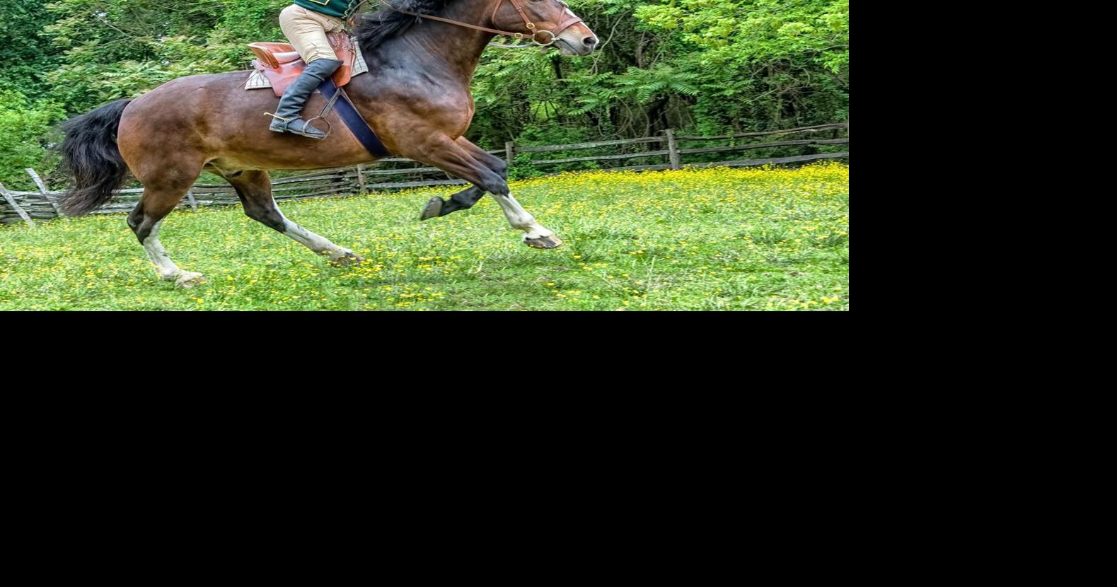 Monticello to relive bravery of Jack Jouett's ride