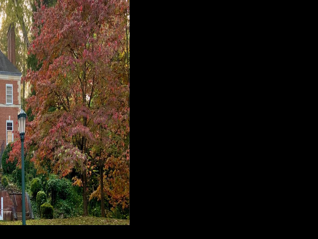Albemarle County man charged with breaking into UVa fraternity house