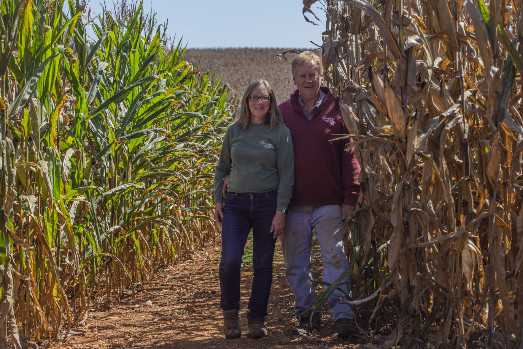 Liberty Mills Farm closes famous corn maze after staff 'threatened ...