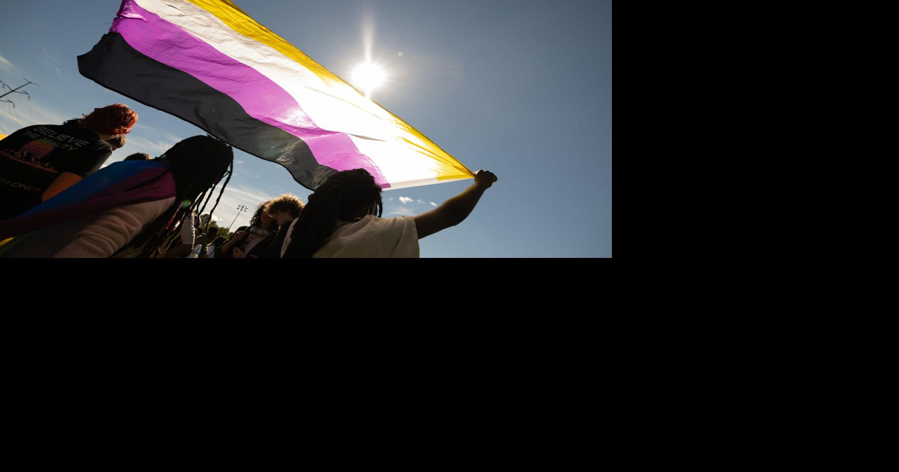 Albemarle County schools criticized for restrictions on LGBTQ youth support