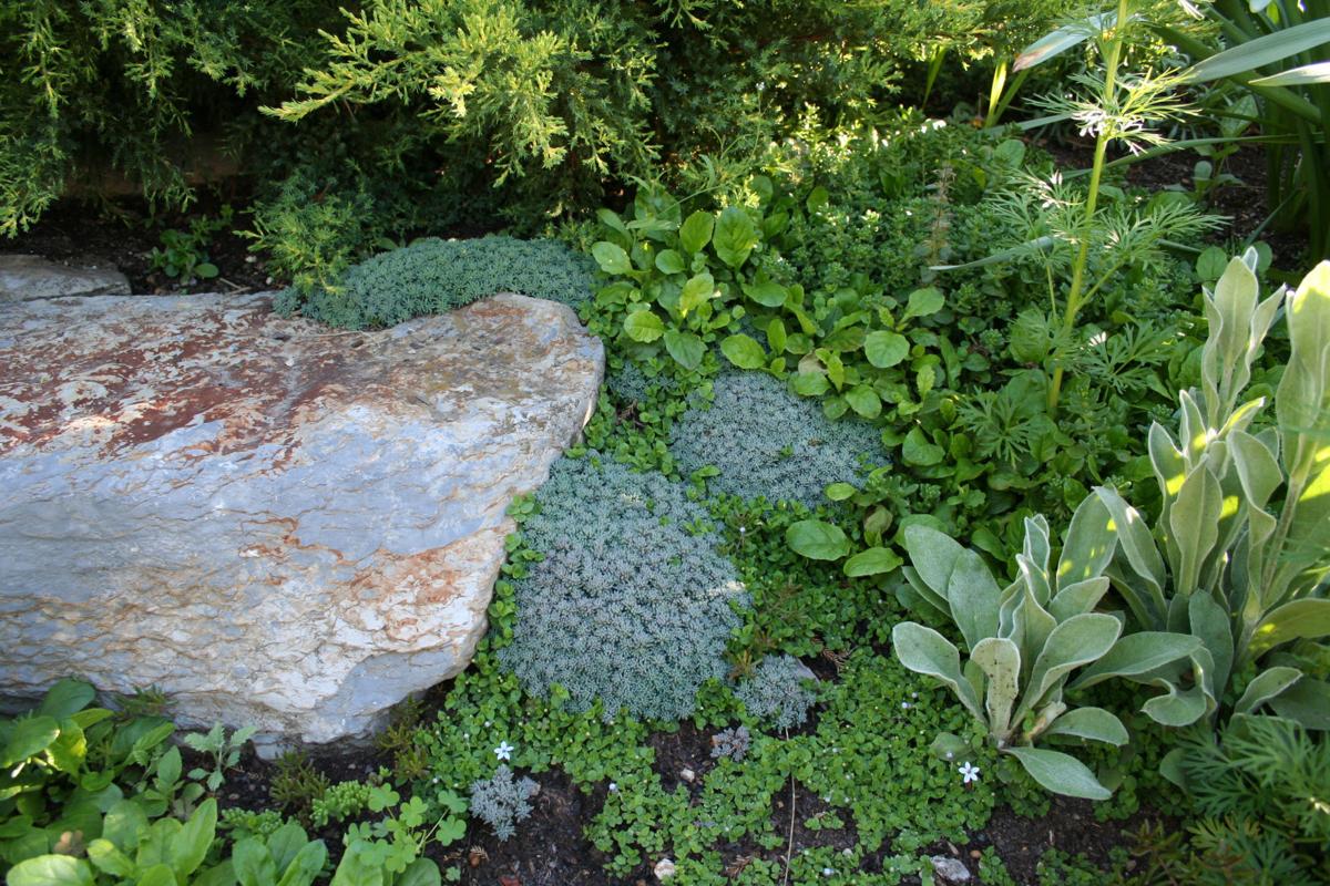 Gardening: These rock stars shoulder the burden of greening up stony ground